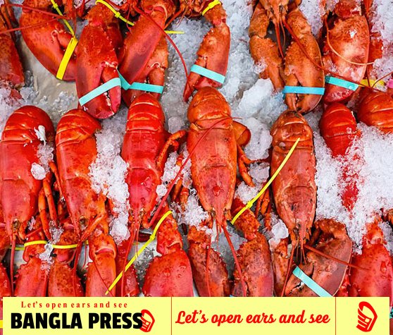 5 crore taka worth truckload live lobsters stolen in the United States